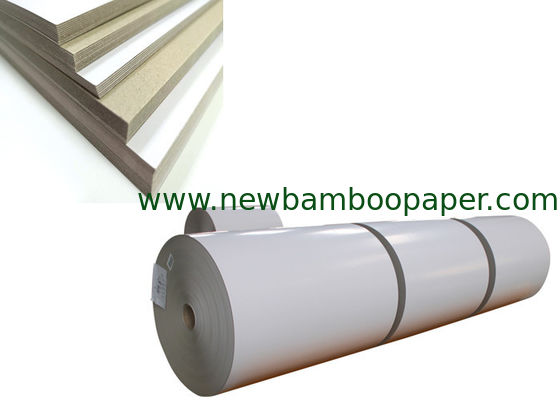 Duplex Board on sales - Quality Duplex Board supplier