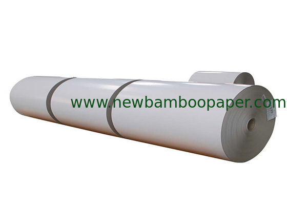 Duplex Board on sales - Quality Duplex Board supplier